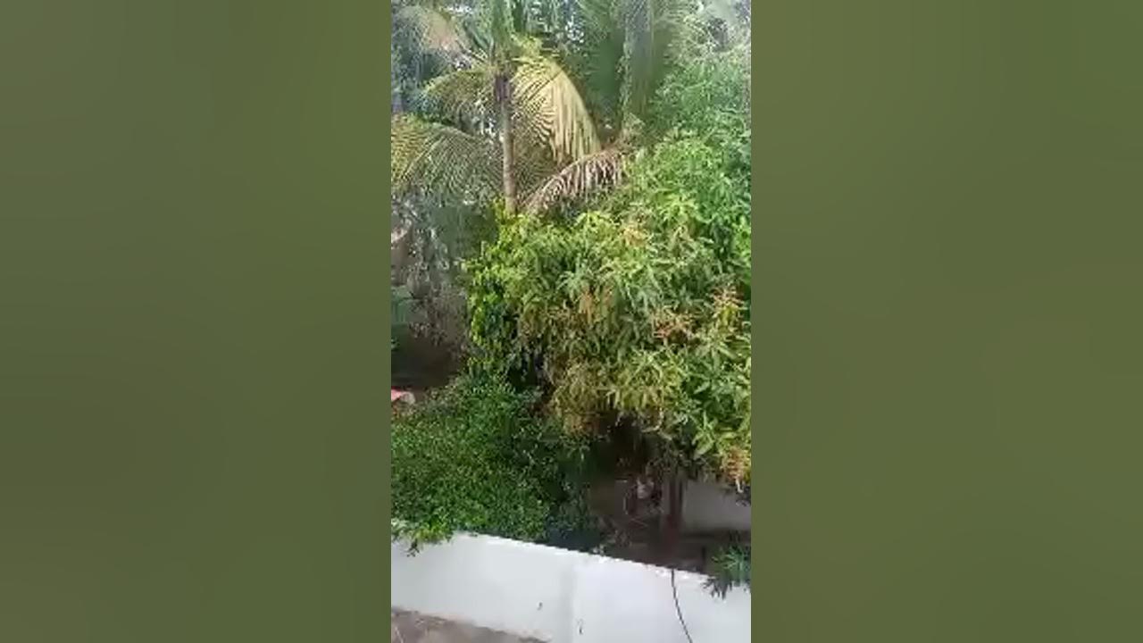 Highlight 3:09 - 8:09 from VLP tips channel is live! - YouTube