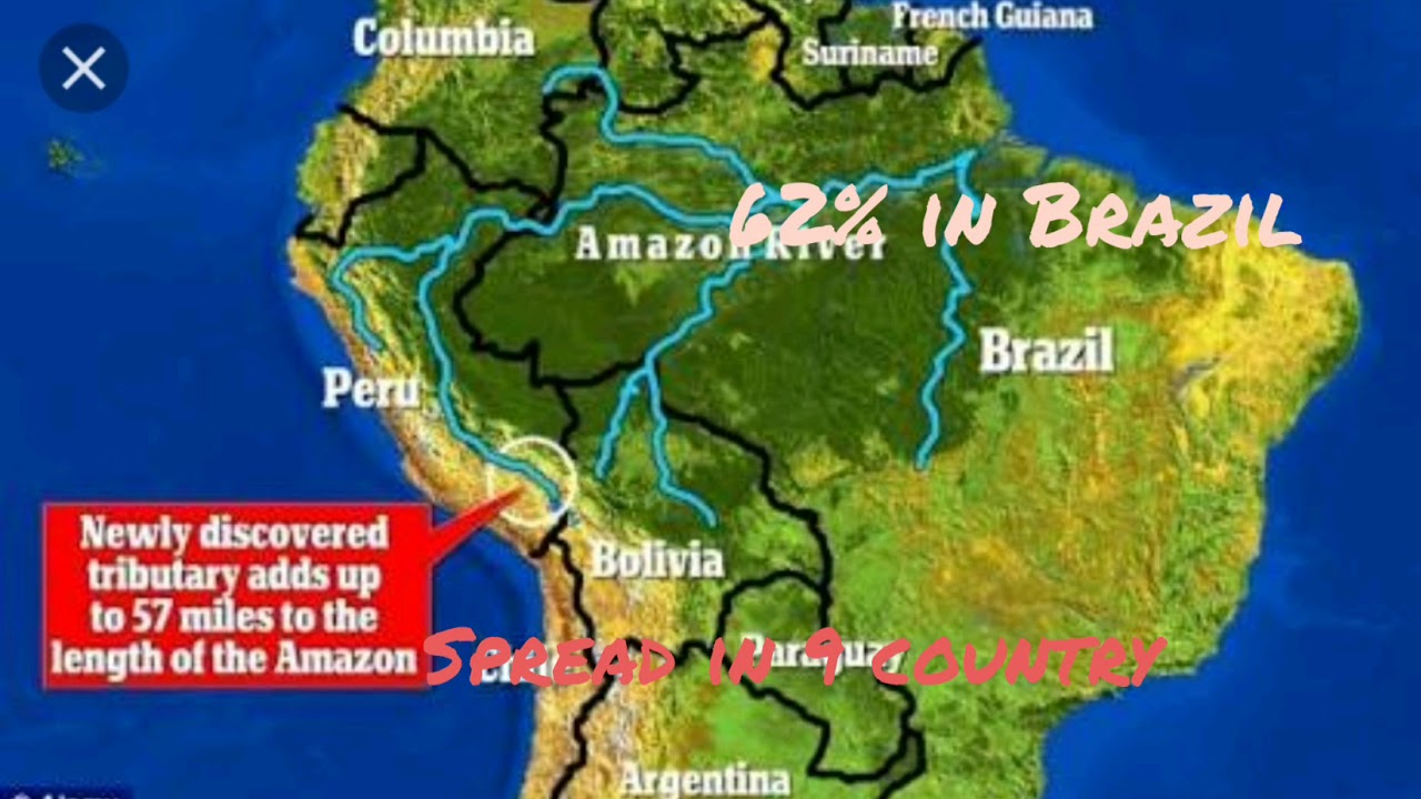 Facts about Amazon.......... - YouTube