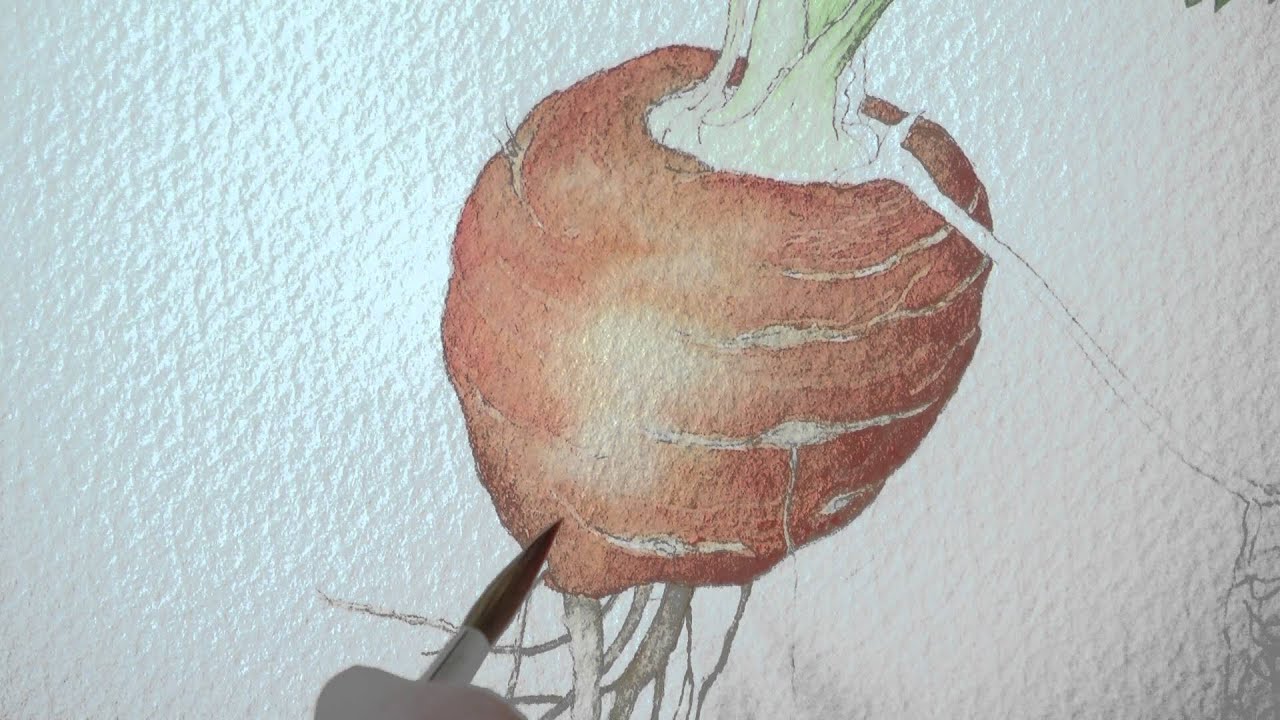 Ryedale Artists at Work Part 5 : Bridget Gillespie - YouTube