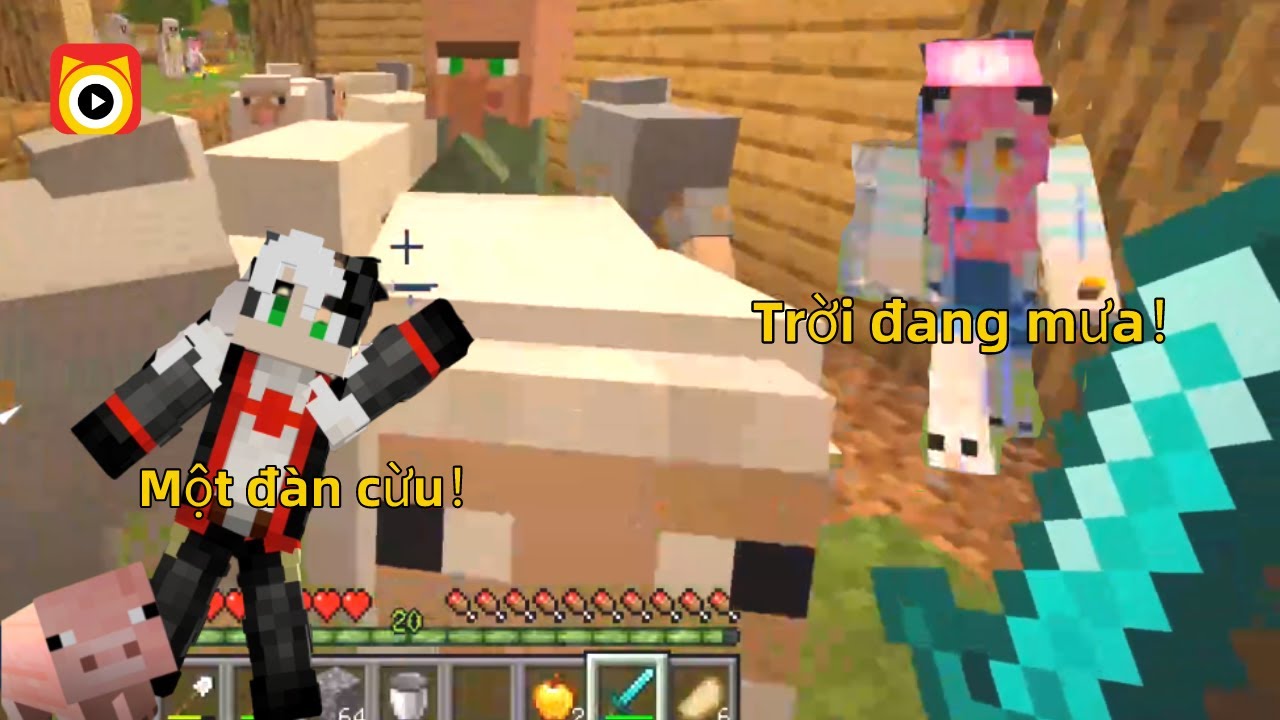 Redhoodvn | Đột nhập vào một đàn cừu |Minecraft - YouTube