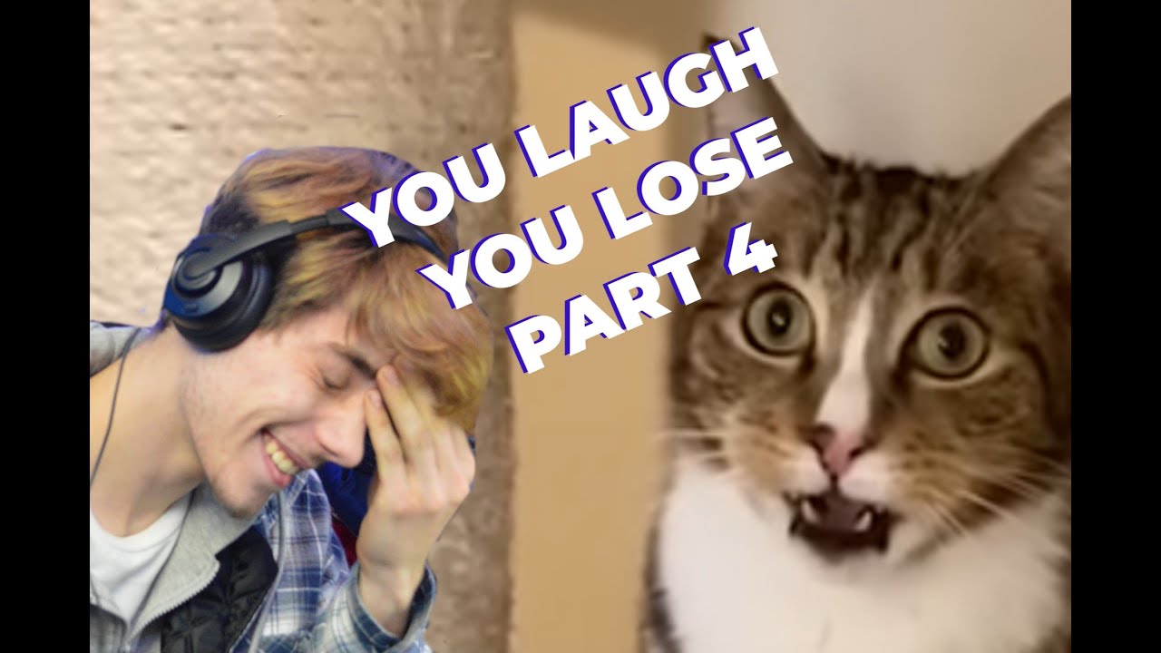 The Funniest Video Yet/try not to laugh part 4 - YouTube