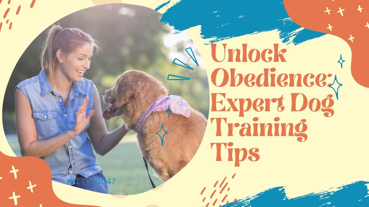Mastering Dog Training: Expert Tips for Obedient Pups - YouTube