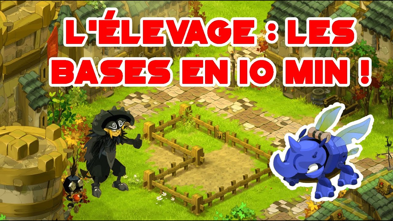 [DOFUS] TUTO ÉLEVAGE - Les BASES en 10 minutes ! - YouTube