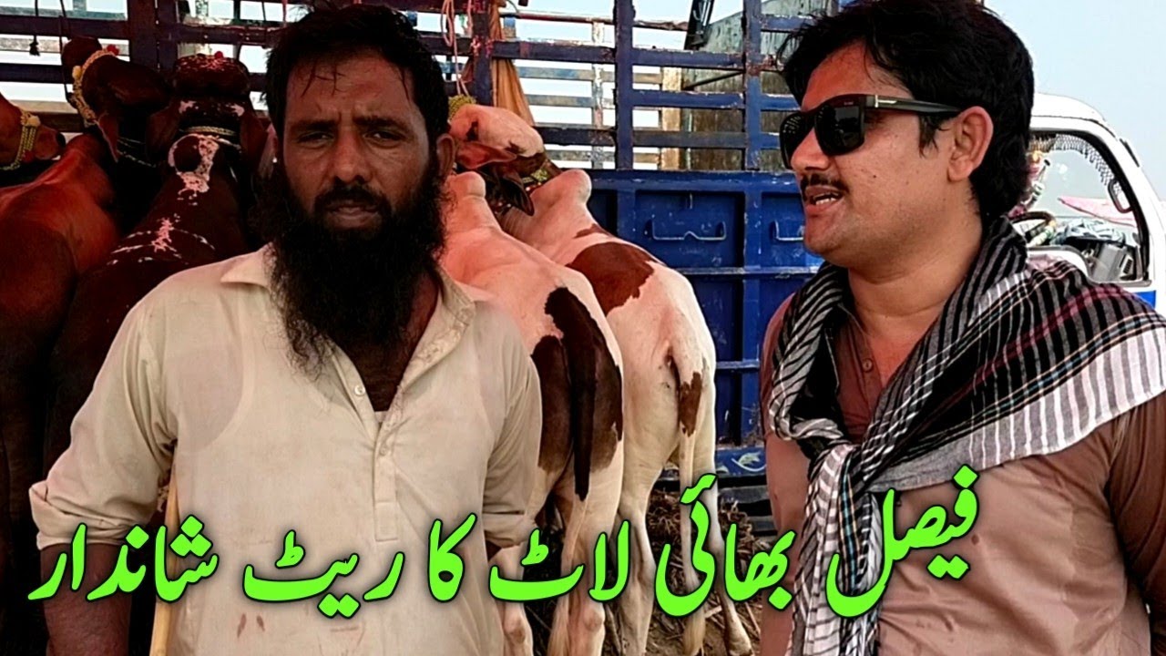 Mandi up date Fresh rates - YouTube