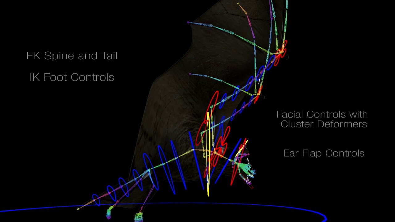 Bat Rigging and Animation - YouTube