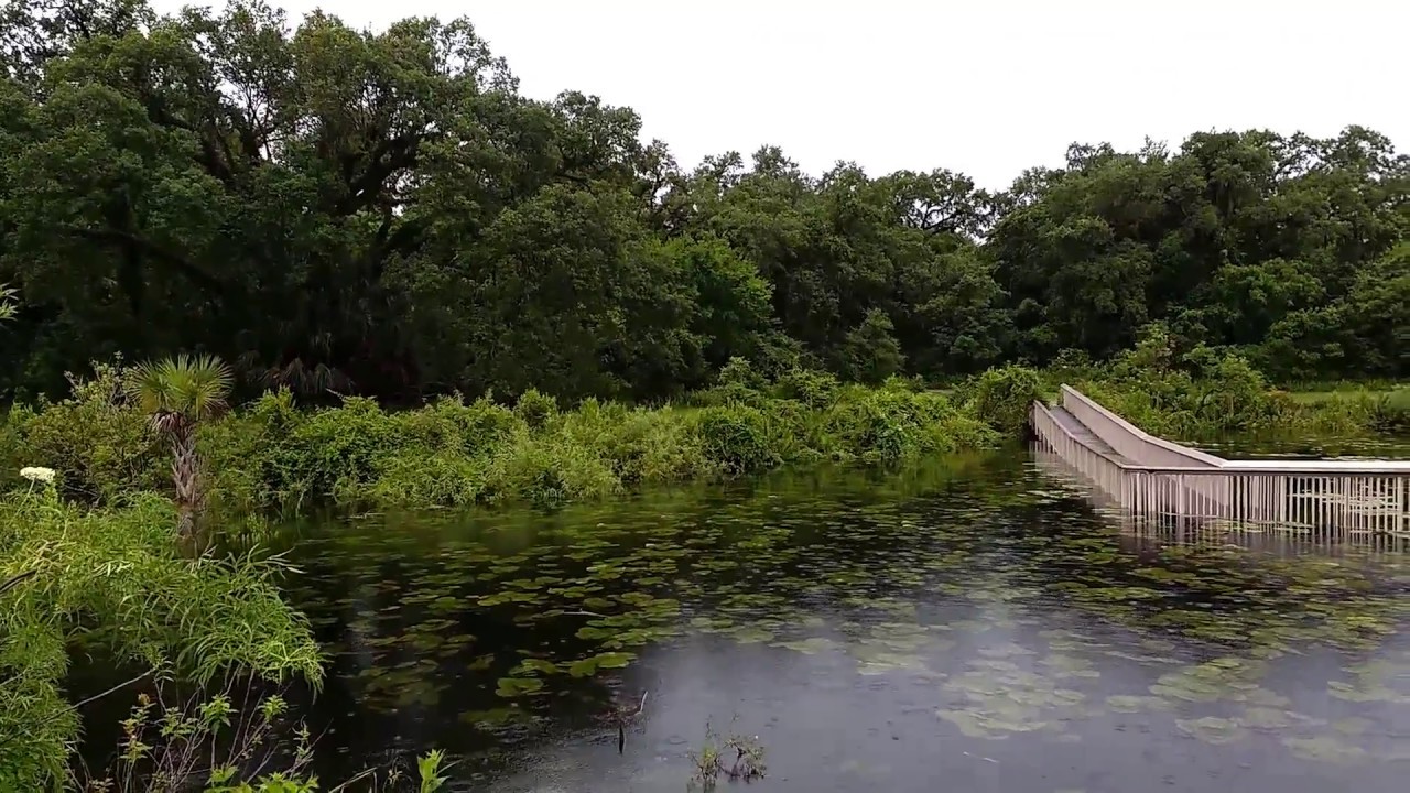 Long Key Natural Area & Nature Center - davie , florida - 6-7-2017 ...