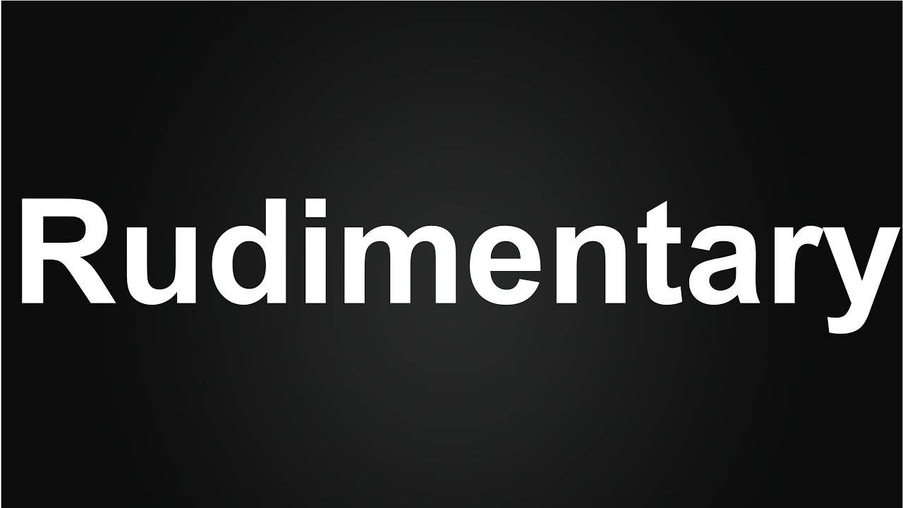 Rudimentary Meaning in Urdu, How to Say Rudimentary in English ...