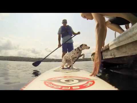 SUP dog dismount nets AmigoGriff 5 NoseDive Points