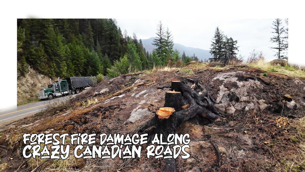 Slocan Lake Forest Fire Damage • Silverton • New Denver • Canadian ...