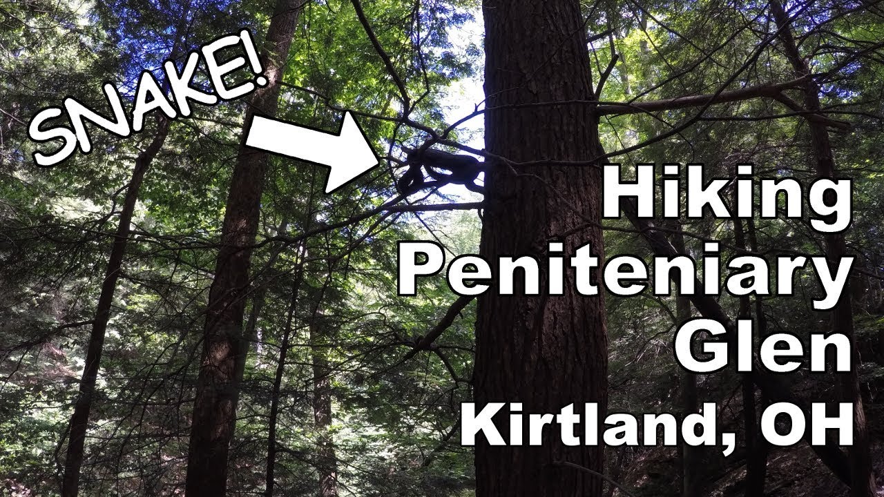 A Hike & Miniature Train Ride in Penitentiary Glen | Lake Metroparks ...