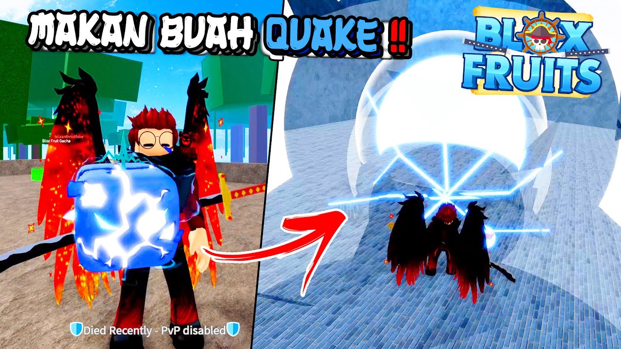 Aku Makan Buah QUAKE Untuk Menjadi KUATT di BLOX FRUITS !! - ROBLOX ...