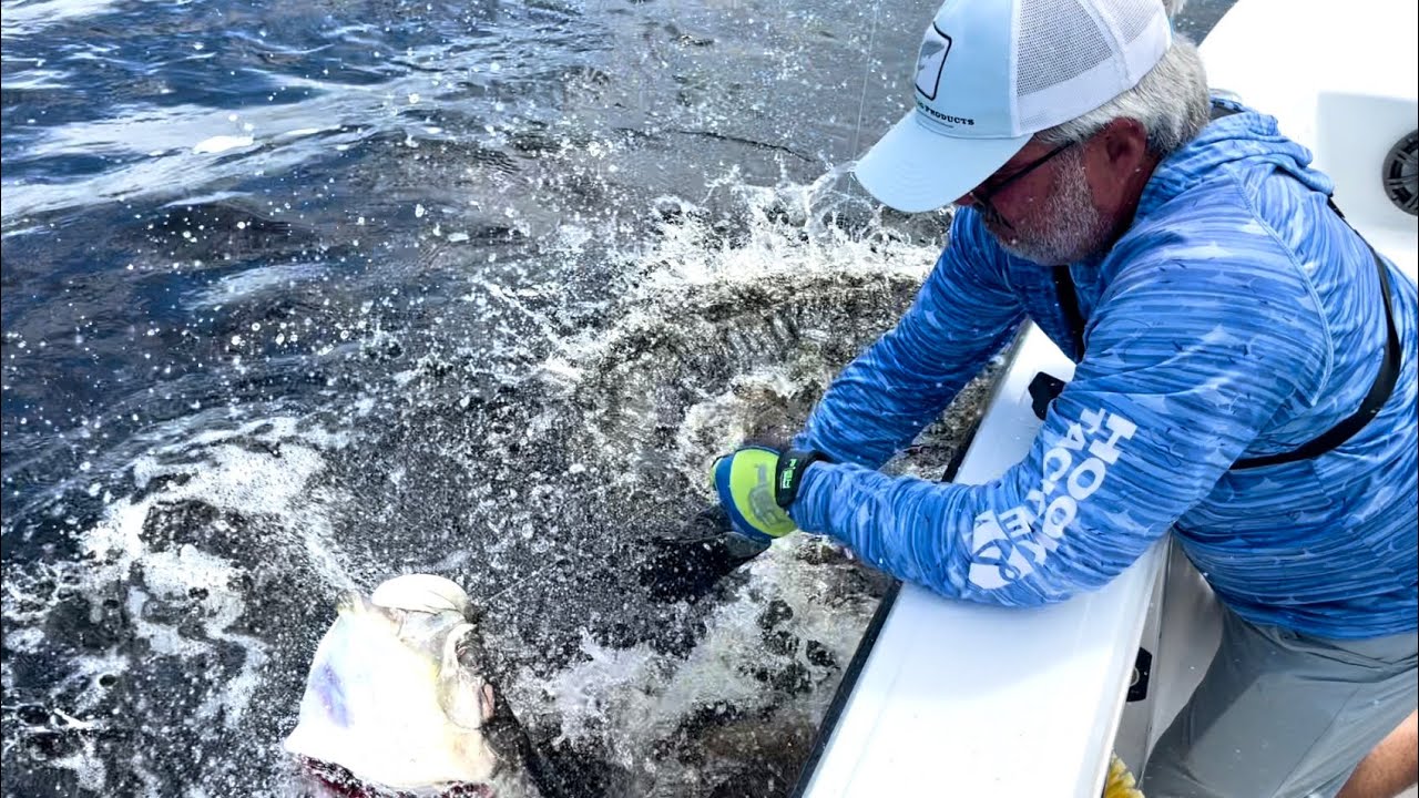 Fishing ARTIFICIAL DOA Baits For TARPON During The MULLET RUN - YouTube