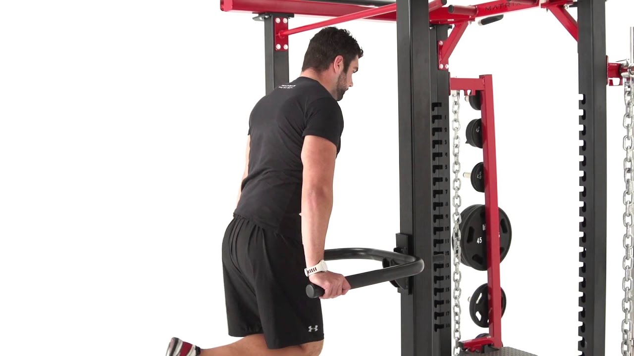 Matrix Magnum Rack Reverse Dip Bars professional workout - YouTube