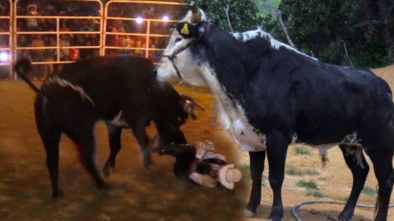 LLEGARON PARA QUEDARSE Gonzalez Ranch En El Refugio Guerrero 2022 - YouTube