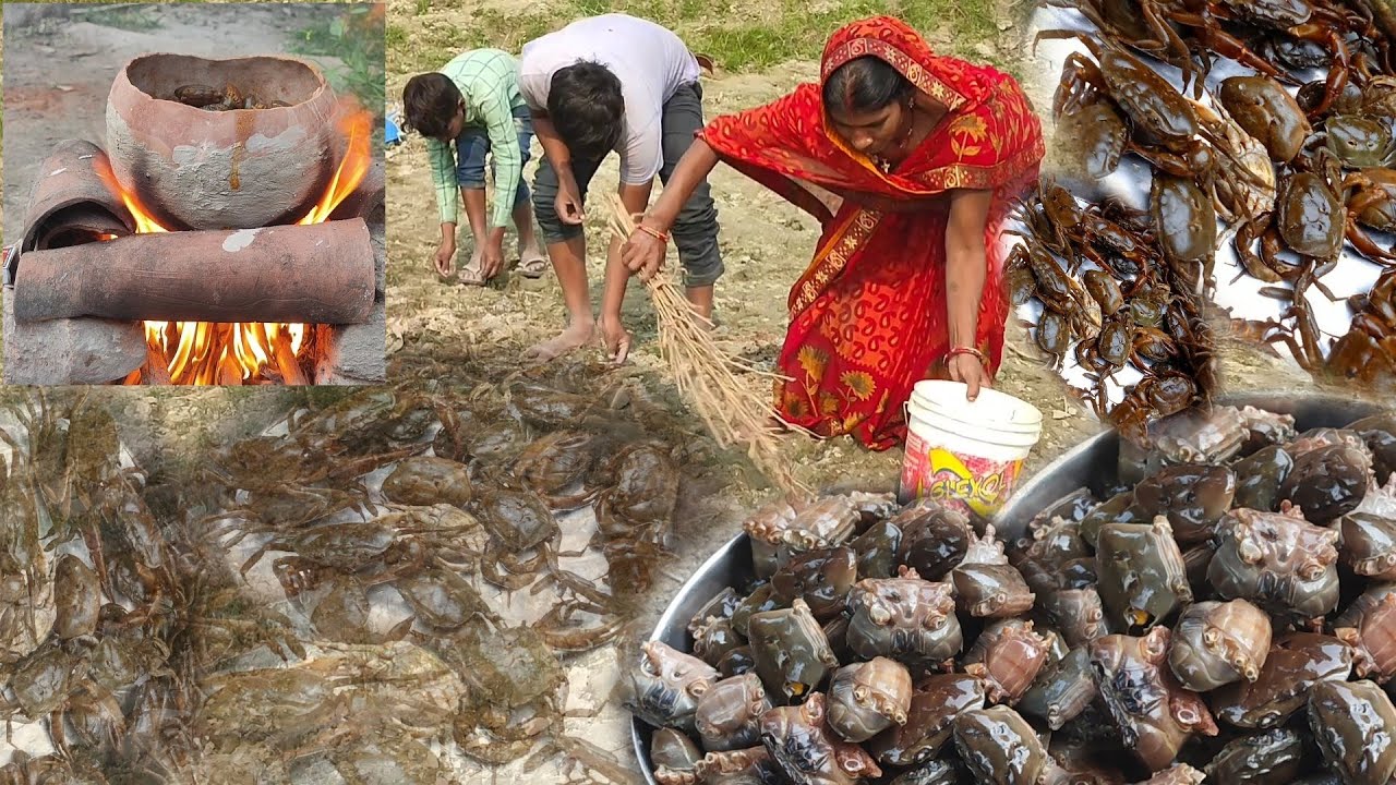 Catching kekra& king of crab recipe in village,cooking and eating crab ...