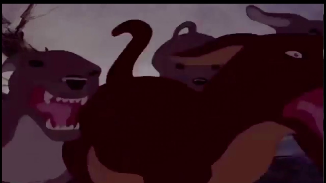 bambi dog chase n fight - YouTube