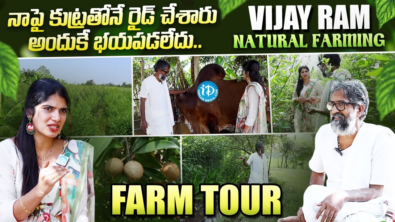 Vijay Ram Natural Farming Farm Tour | Natural Farming | iDream Media - YouTube