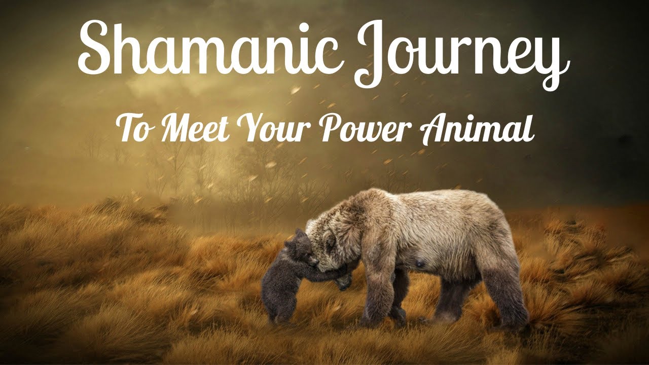 Guided Shamanic Journey Meditation to Meet Your Power Animal - YouTube