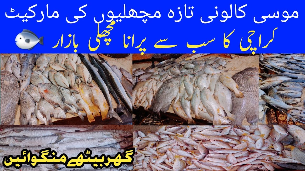 Cheapest Fresh Biggest Wholesale Fish Market Karachi |Mosa Colony Fish ...