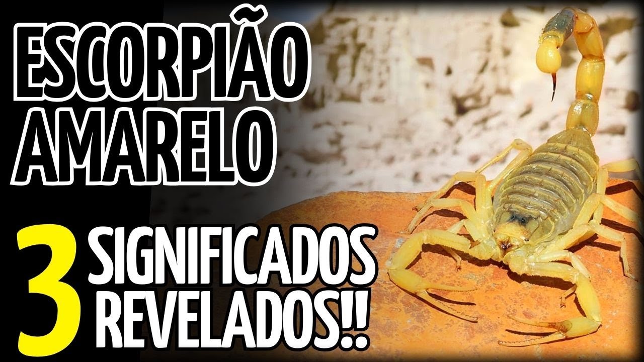 ALERTA O QUE SIGNIFICA SONHAR COM ESCORPI O AMARELO SIGNIFICADO DE alerta-o-que-significa-sonhar-com-escorpi-o-amarelo-significado-de