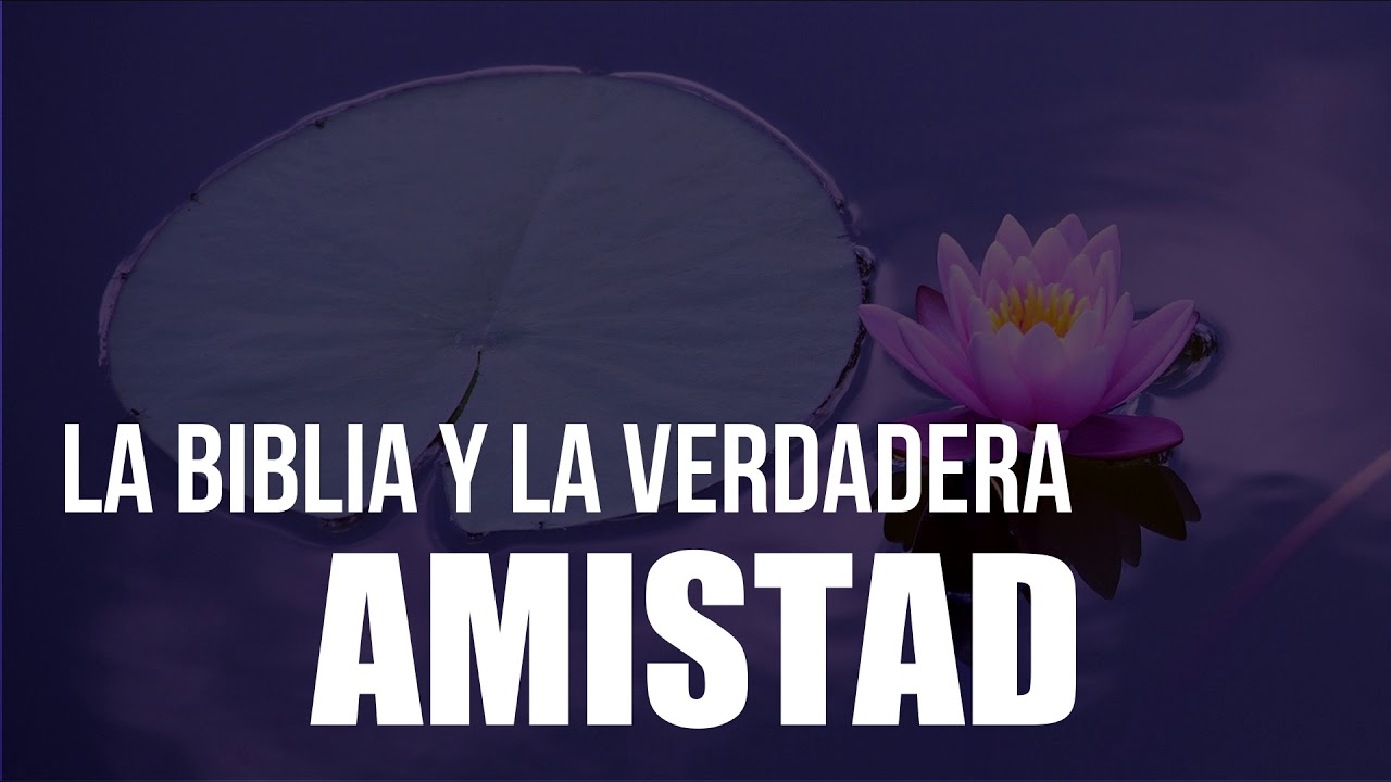 LA GRAN IMPORTANCIA QUE DIOS LE DA A LA AMISTAD - Consejos Bíblicos ...