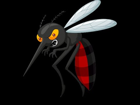 Plasmo_D demonstration - YouTube