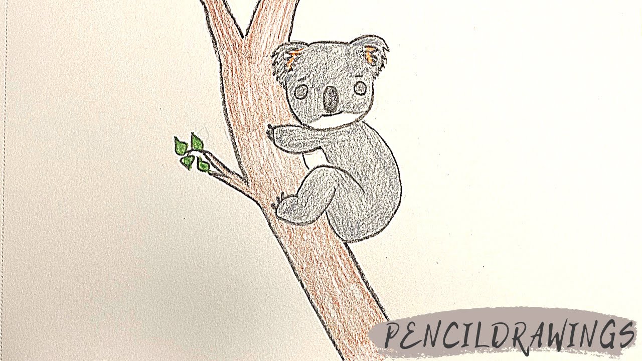Unbelievable Koala Drawing Trick - See How You Can Easily Turn Yourself ...
