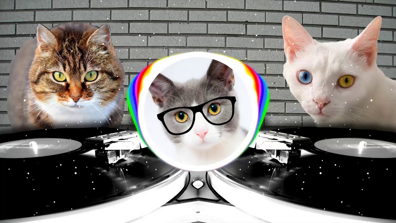 Meowowowowow - Heyayayay Remix - YouTube