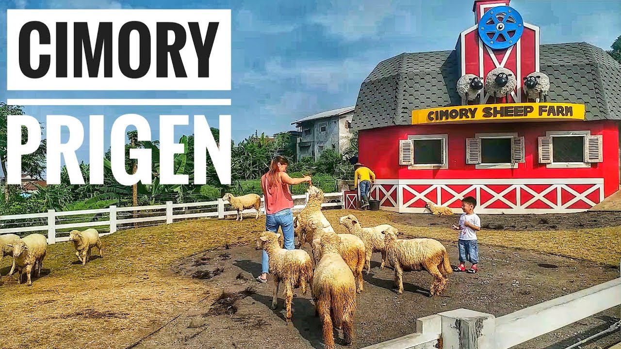 Cimory Prigen - Top Wisata Pasuruan - Tiket Rp 20.000 - YouTube
