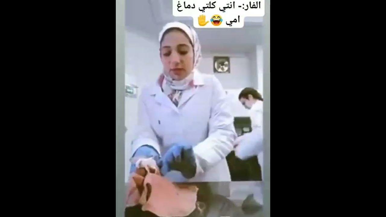 بالراحة عيب يا طبيب Youtube