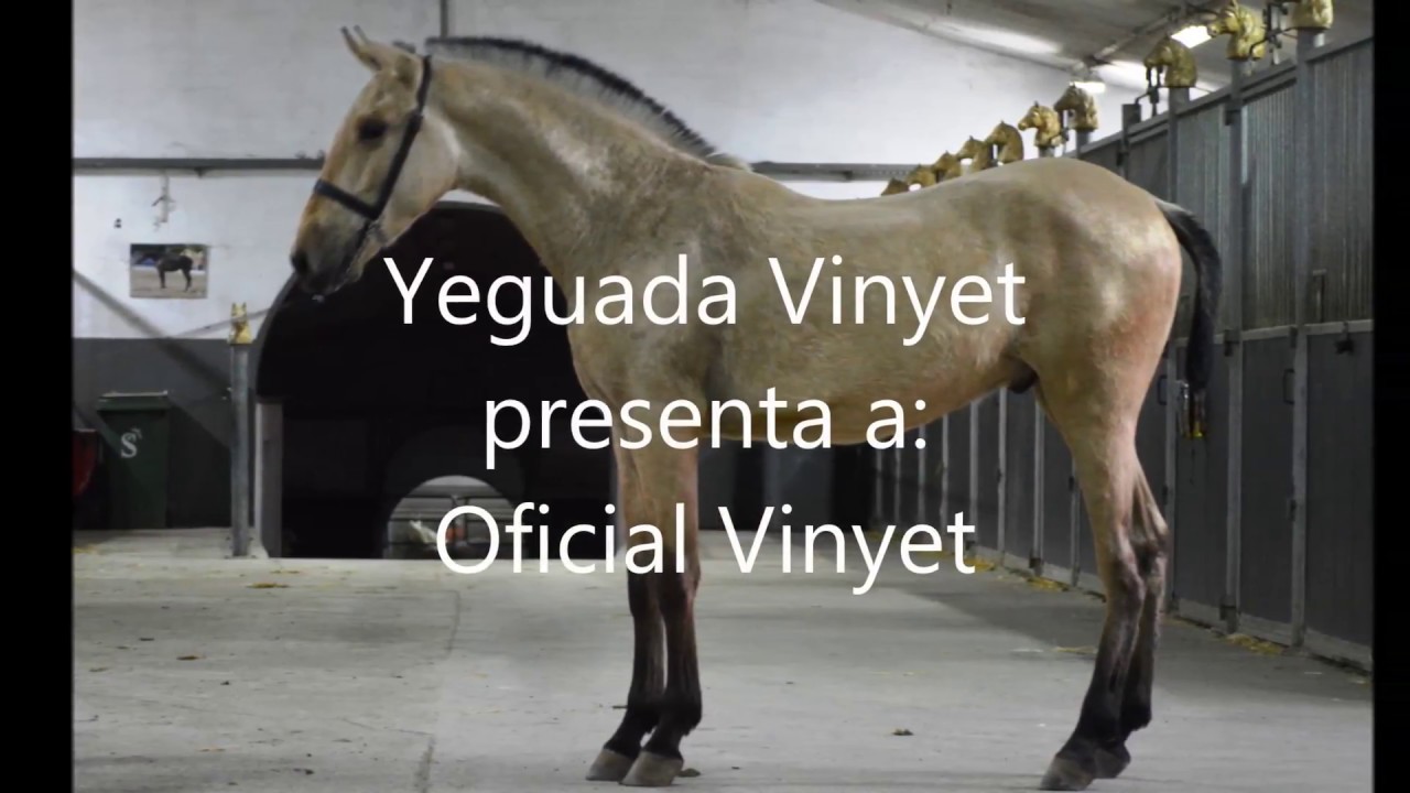 oficial vinyet 1 - YouTube