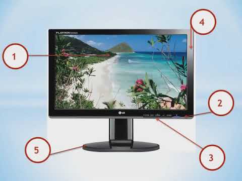 EL MONITOR Y SUS PARTES - YouTube