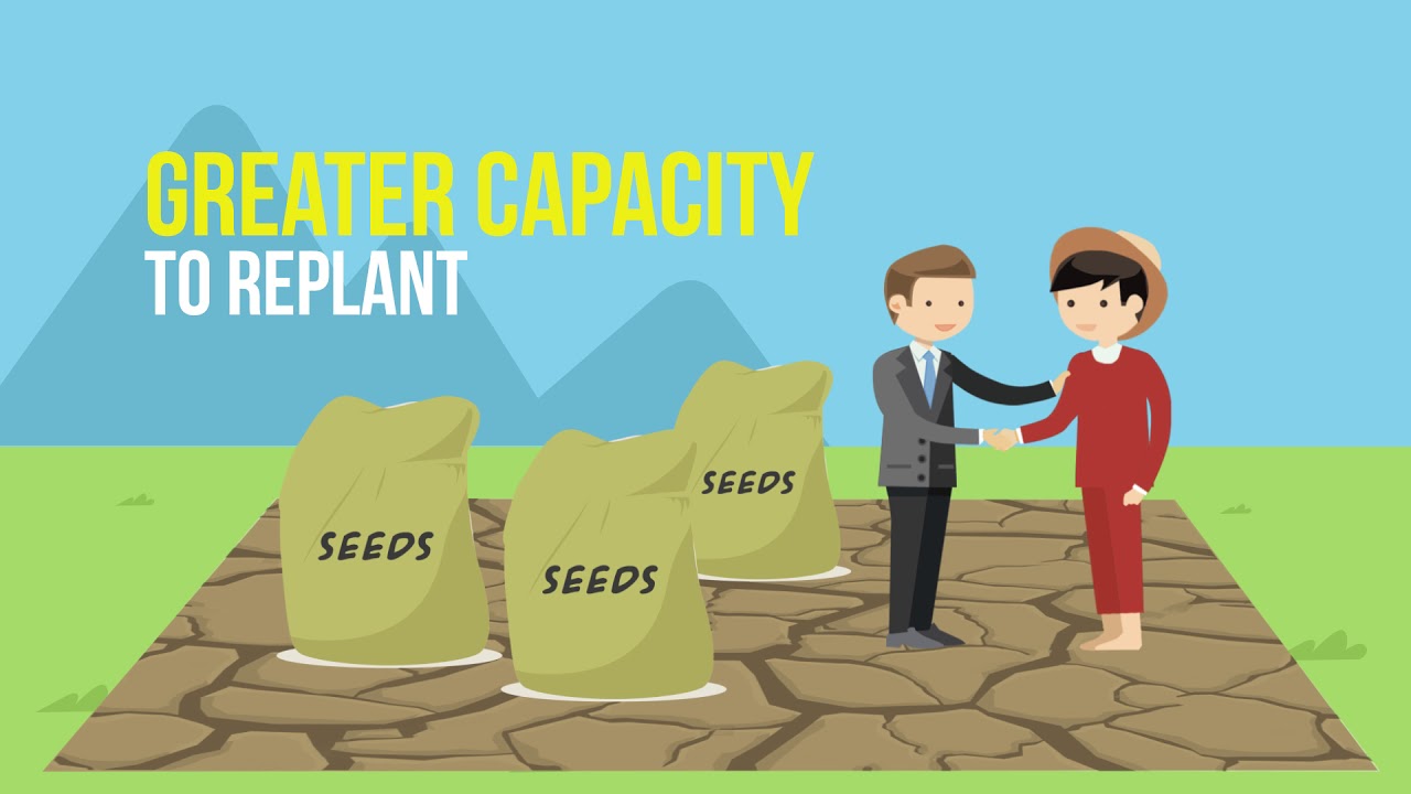 What is Weather Index-Based Insurance? - YouTube