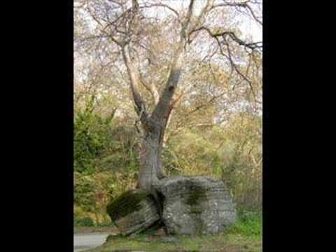 Agia Larisas-A Great Place For Holidays In Greece - YouTube