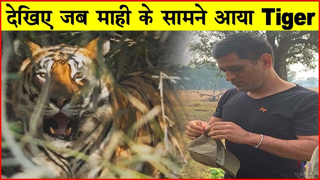 देखिए, क्या हुआ जब माही के सामने आया Tiger, देखकर काँप उठेगी रूह || # ...