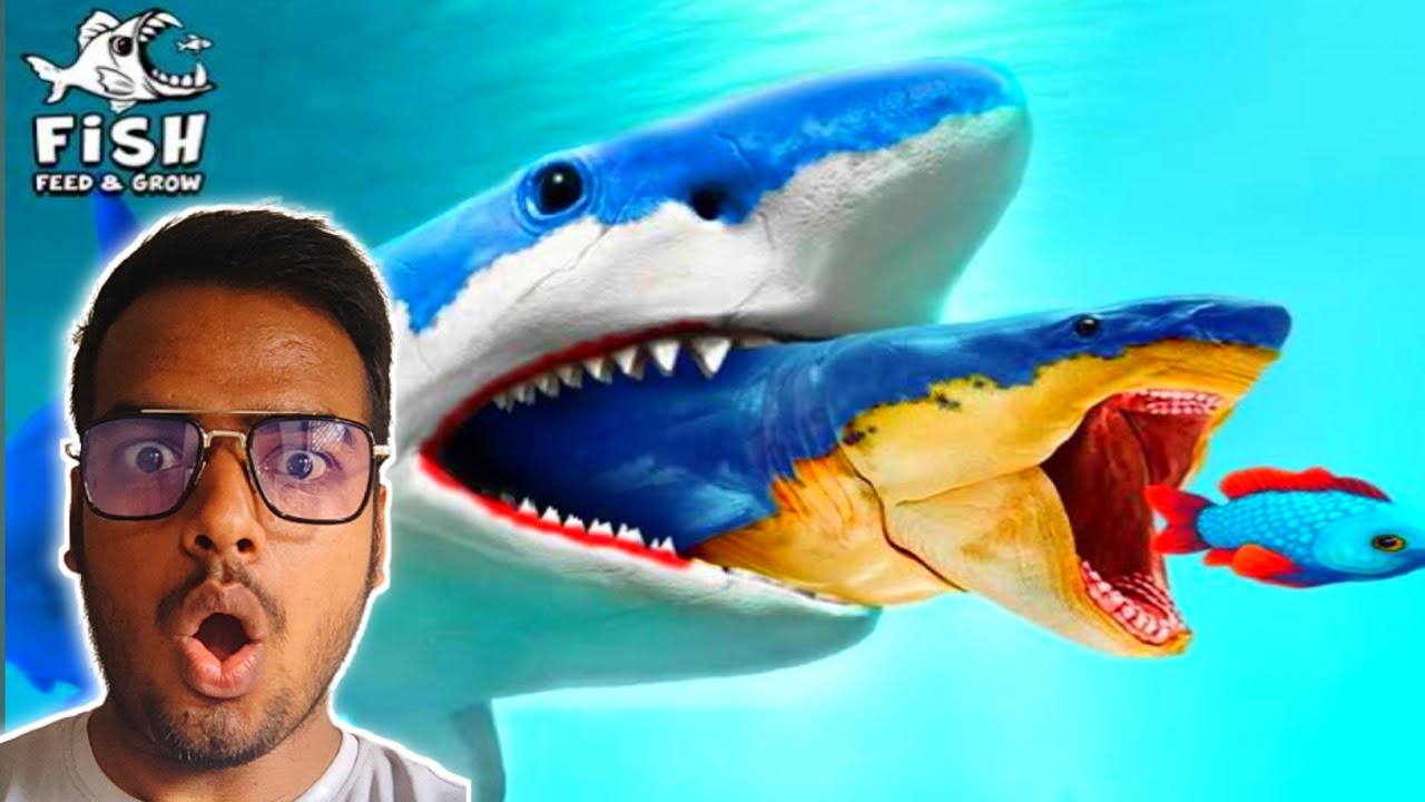 Becoming The Biggest Fish in The Ocean - Feed And Grow Fish - YouTube