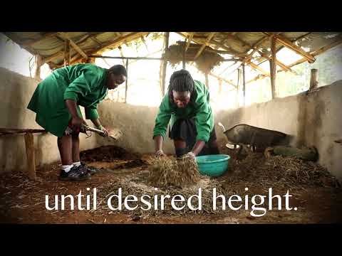 MAKING BOKASHI BIO-FERTILIZER