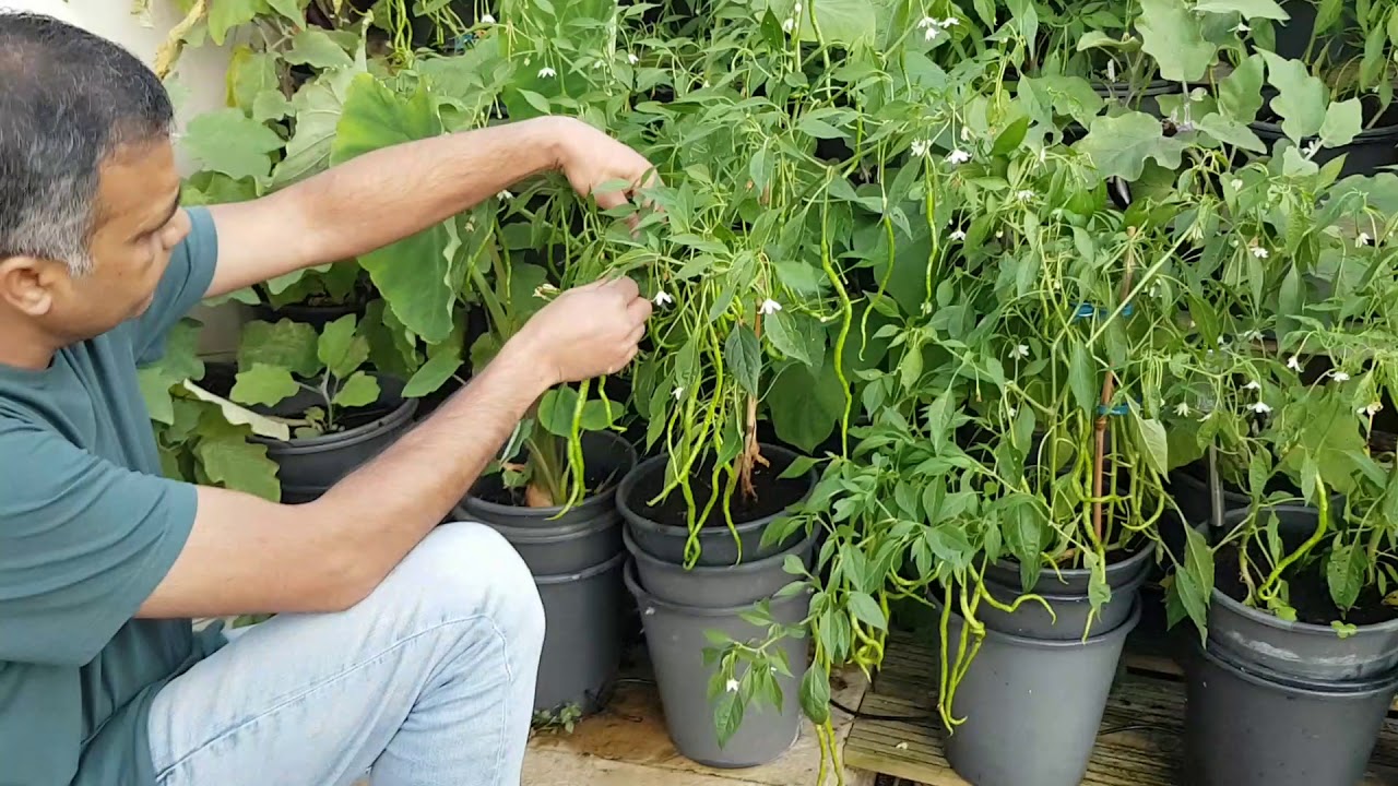 Thunder Mountain Longhorn chilli. - YouTube