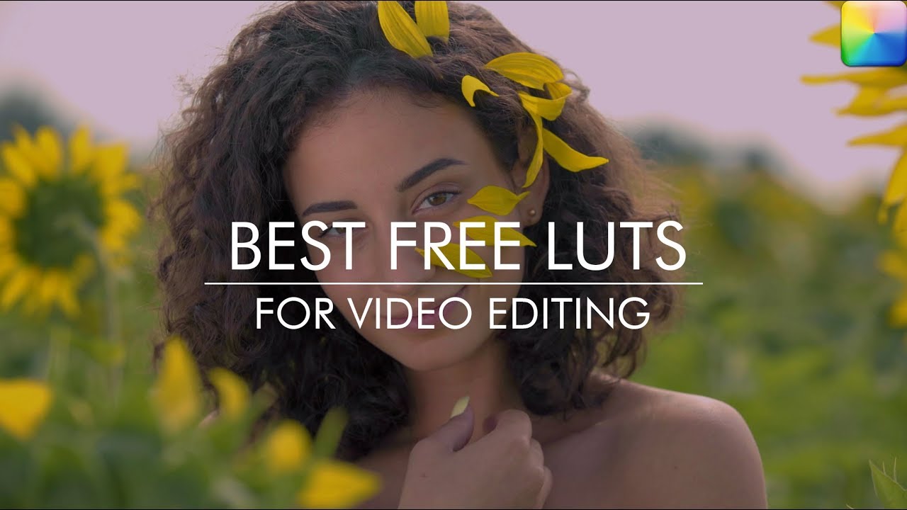 Free Professional LUTs - YouTube