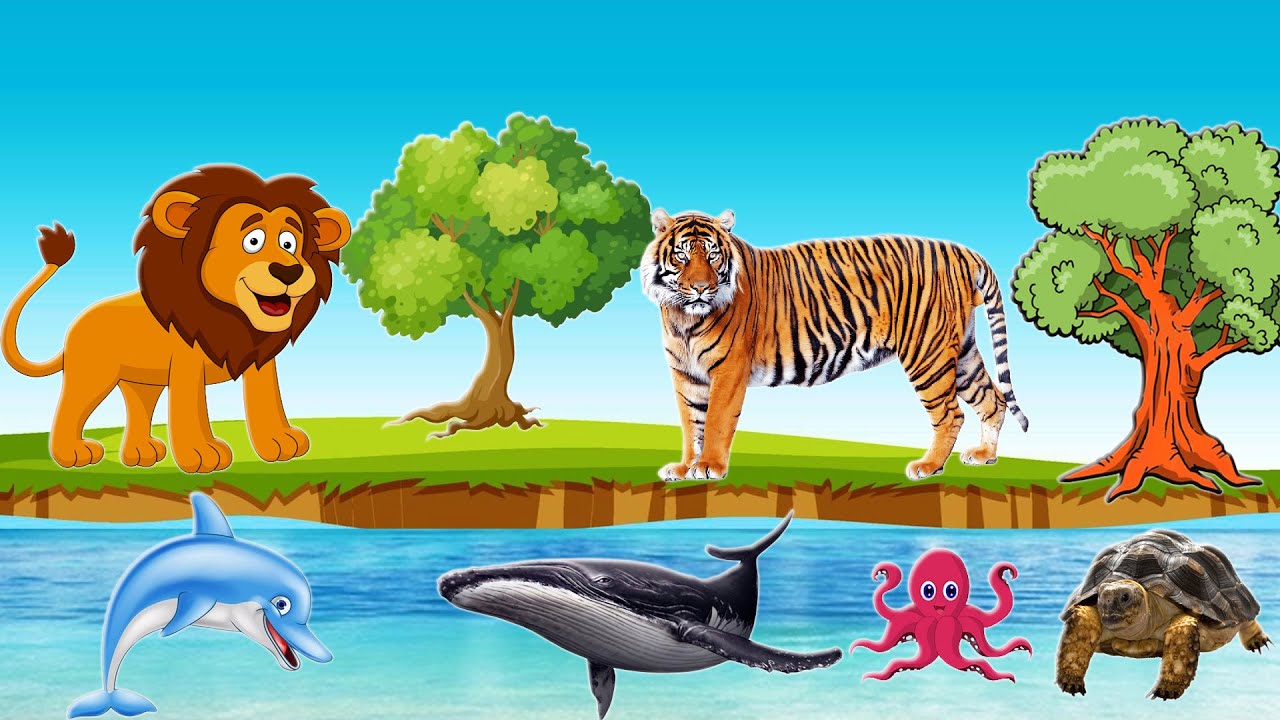 Sea Animal Sounds | Farm Animal Sounds | Wild Animals - YouTube