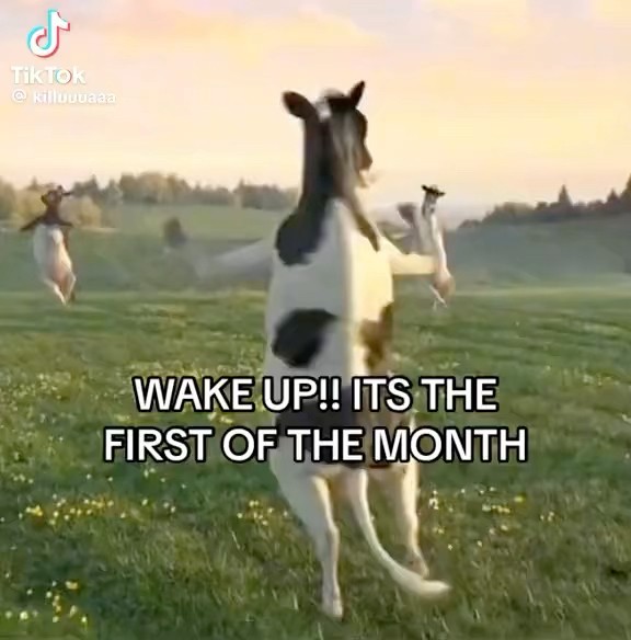 wake up chat - YouTube