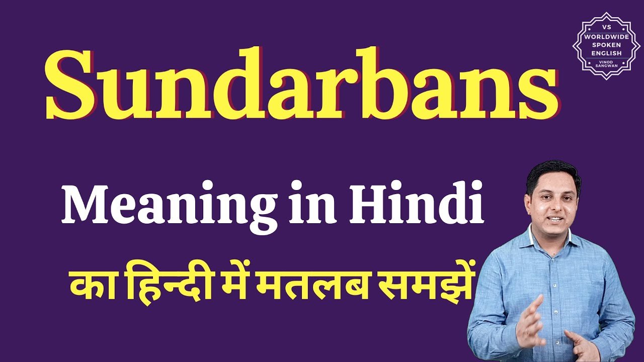 Sundarbans meaning in Hindi | Sundarbans ka matlab kya hota hai ...