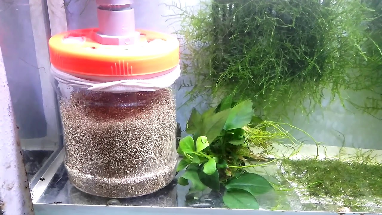 DIY aquarium reactor purigen. - YouTube