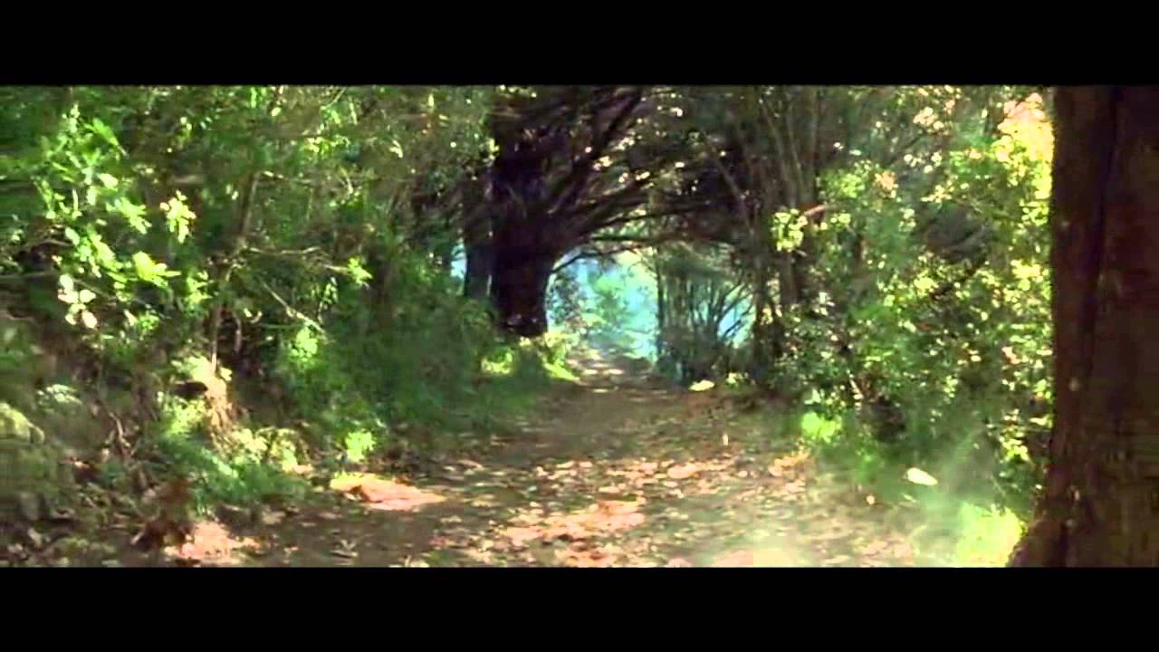 "Get off the road!" - YouTube