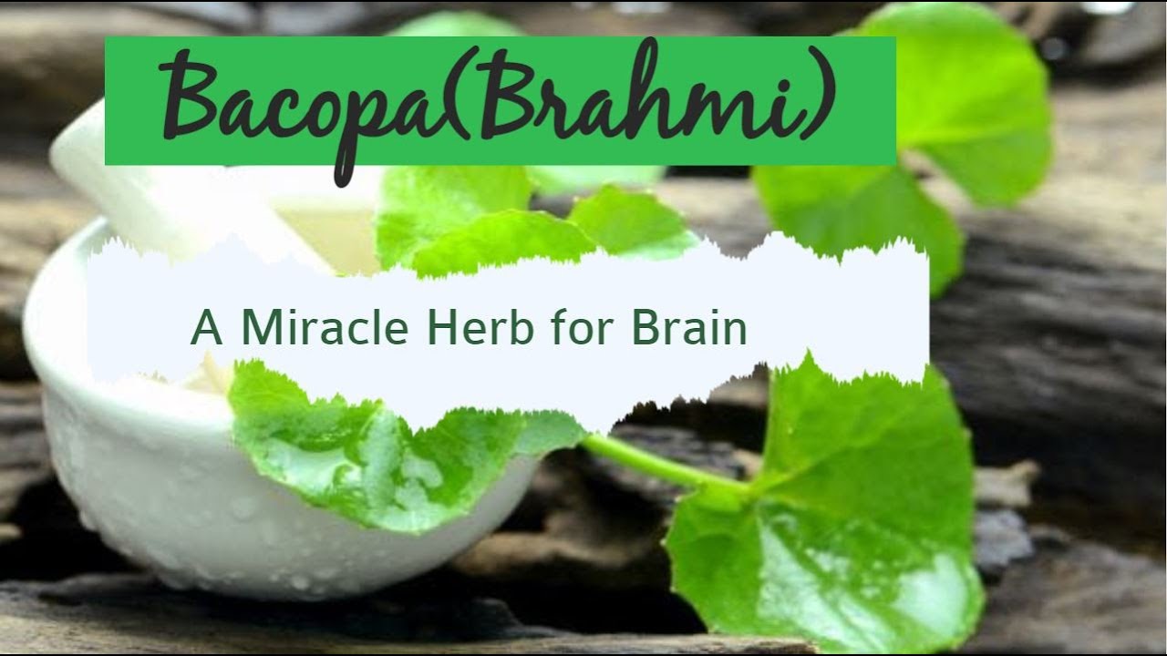 The Incredible Benefits of Brahmi - The Miracle Herb for Brain Health ...