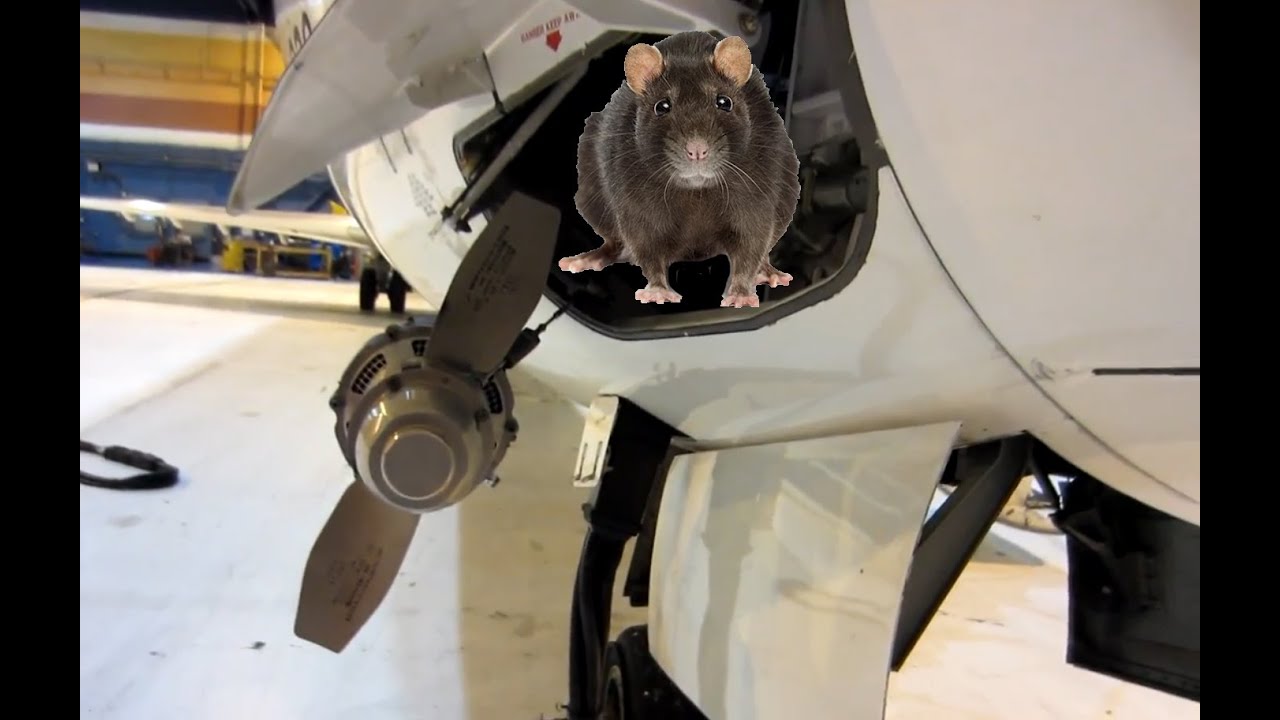 Aircraft Explained RATS YouTube aircraft-explained-rats-youtube