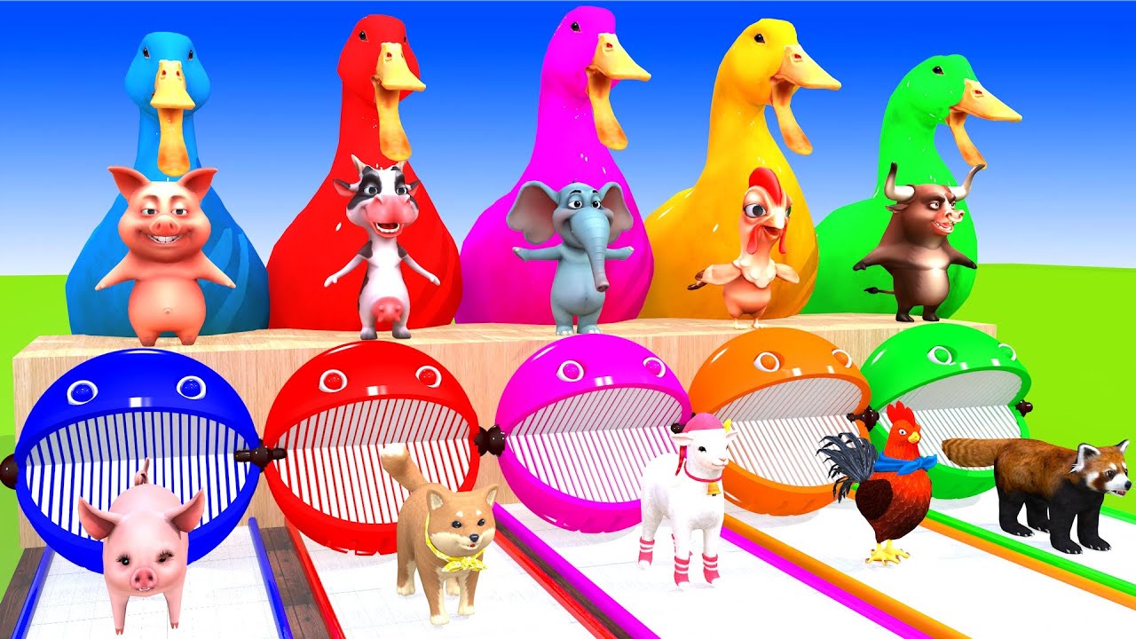 Cow Pacman Elephant Tiger Gorilla Hippo 3d Animal Long Slide Game Funny ...