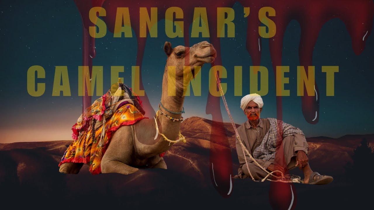 | Camel Leg Cut Incident | Female Injured Camel Got Justice | Sanghar ...