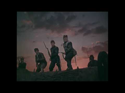 Batalla de Svistov - Guerra ruso-turca (1877-1878)