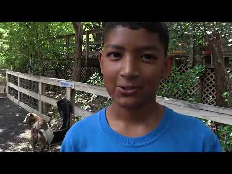 Ft Worth Zoo, June 2026